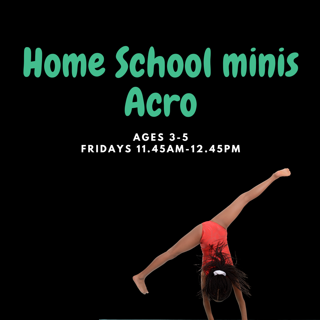 Home School Minis – Performance Acro