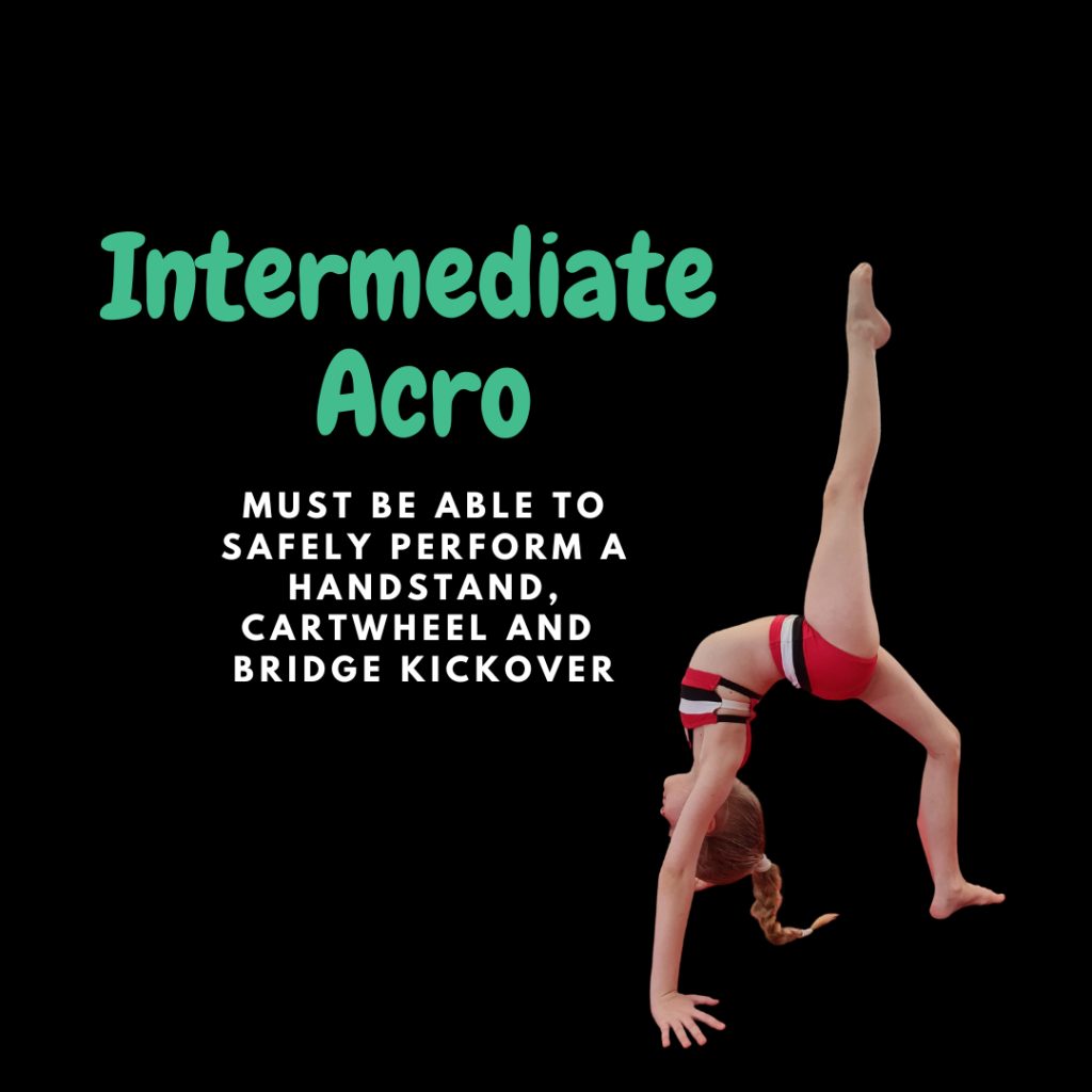 Term Classes – Performance Acro