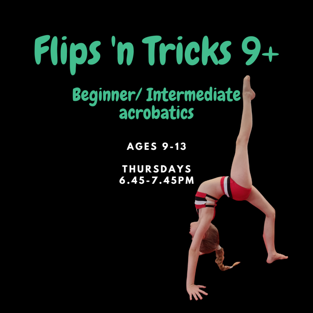 Term Classes – Performance Acro